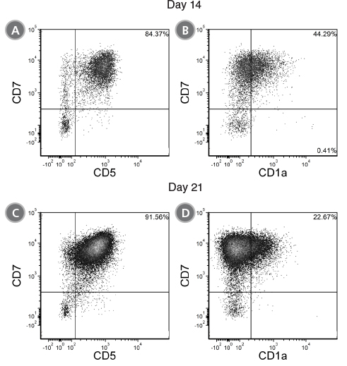 Stroma-Free Generation of T Cell Progenitors